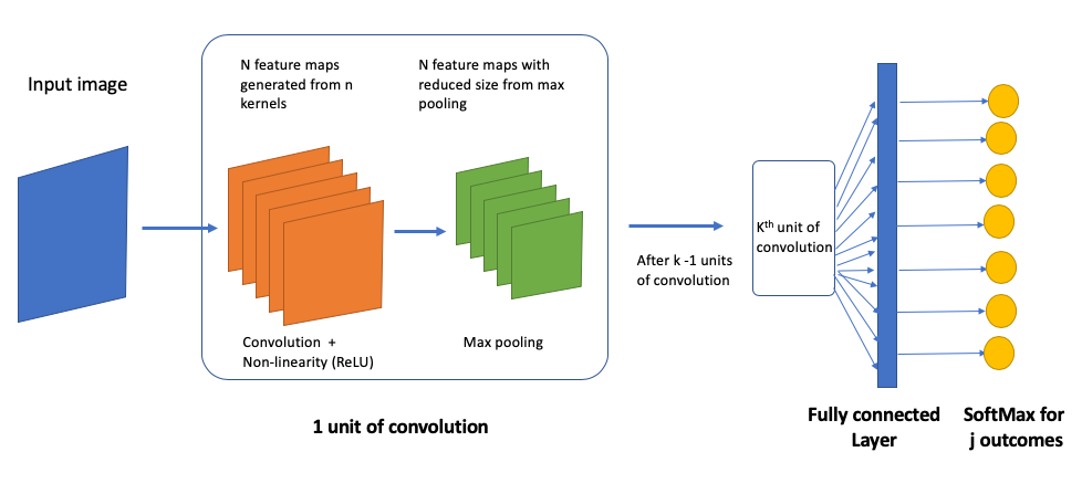 Understanding Deep Convolutional Neural Networks With A