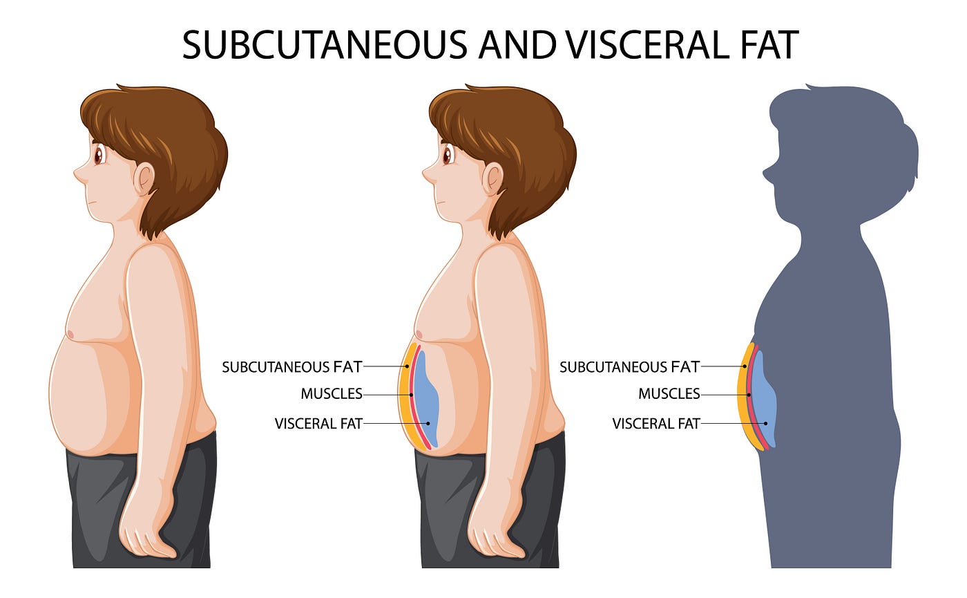 Visceral Fat Female Taking Aim At Belly Fat Harvard Health
