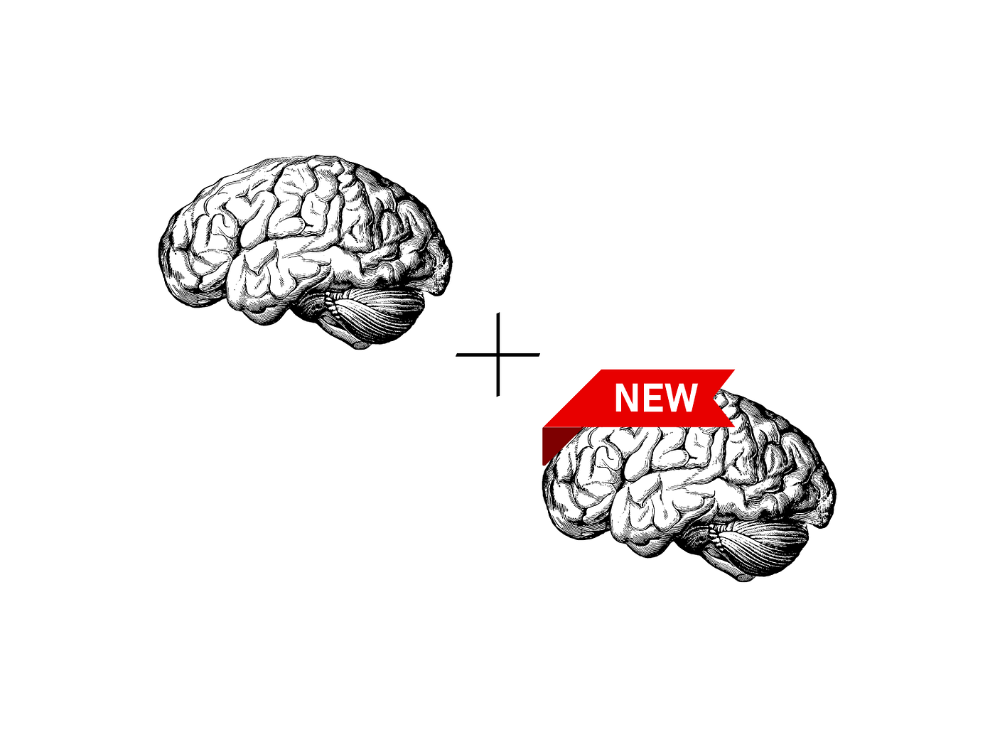 Giving Brain