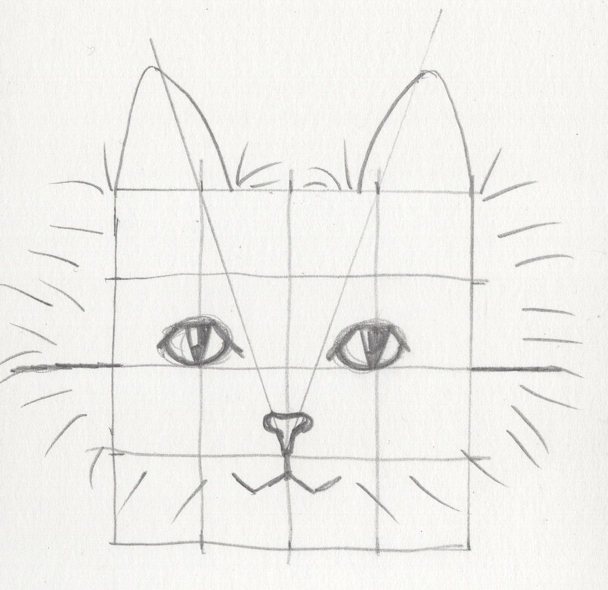 How To Draw A Cat On Face