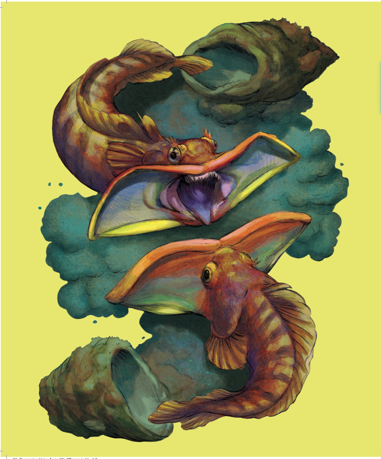 Sarcastic Fringehead