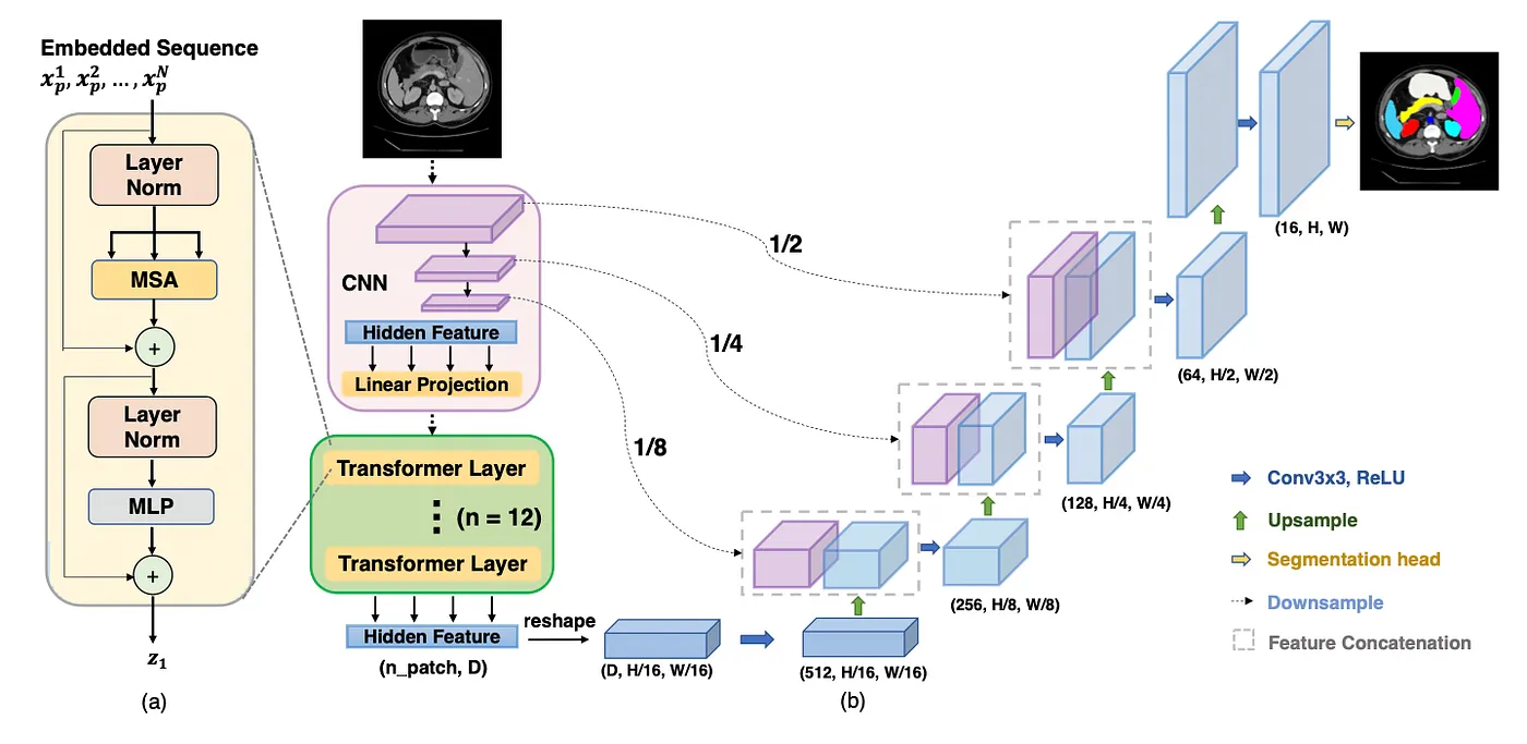 GitHub - akhanal47/transunet: Repo for the sample implementation of the paper "TransUNet ...