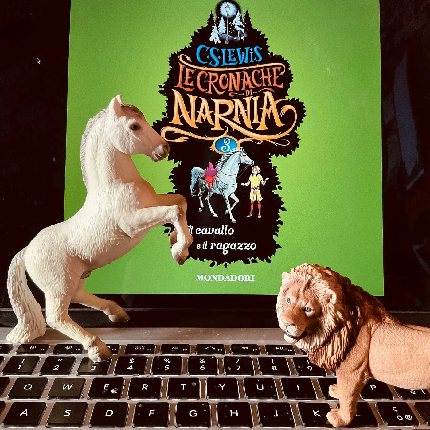 Haus of Hermio 🐱: Review: Il cavallo e il ragazzo