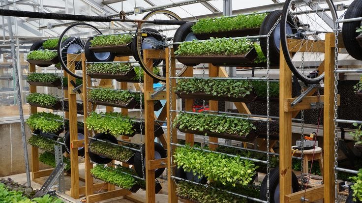 Small Scale Hydroponic Farming