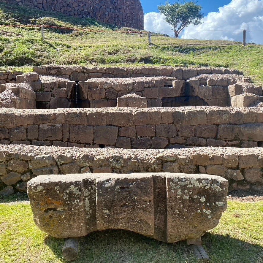 Inca Irrigation Systems