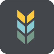 Field Peterson – Medium