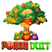 Pohon Duit Rejeki – Medium