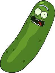 Pickle Rick: The Real-Life Tech Maverick Behind the Legend | by James ...