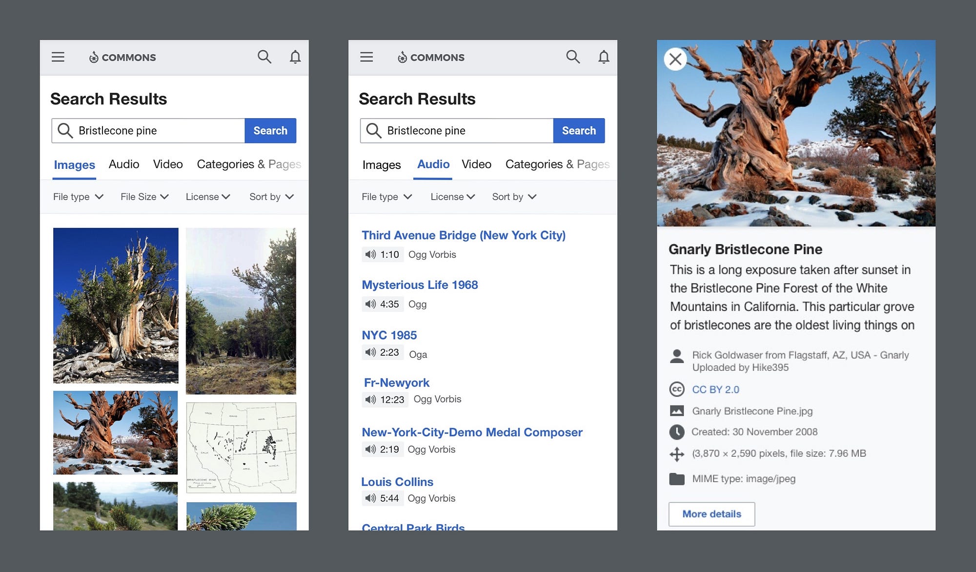 File Commons A First Look Inside The New Contemplative Commons