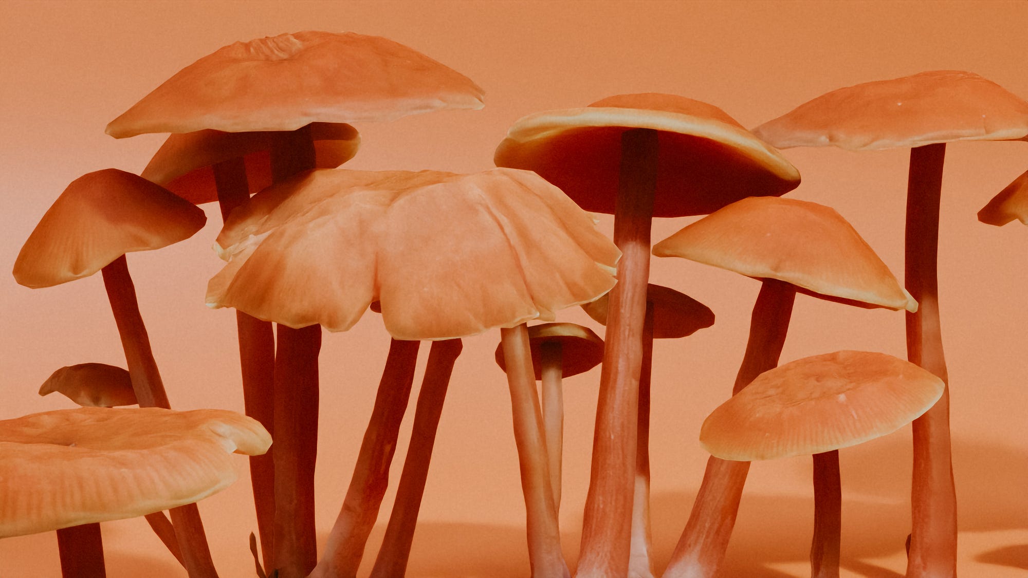 Shroom Trip
