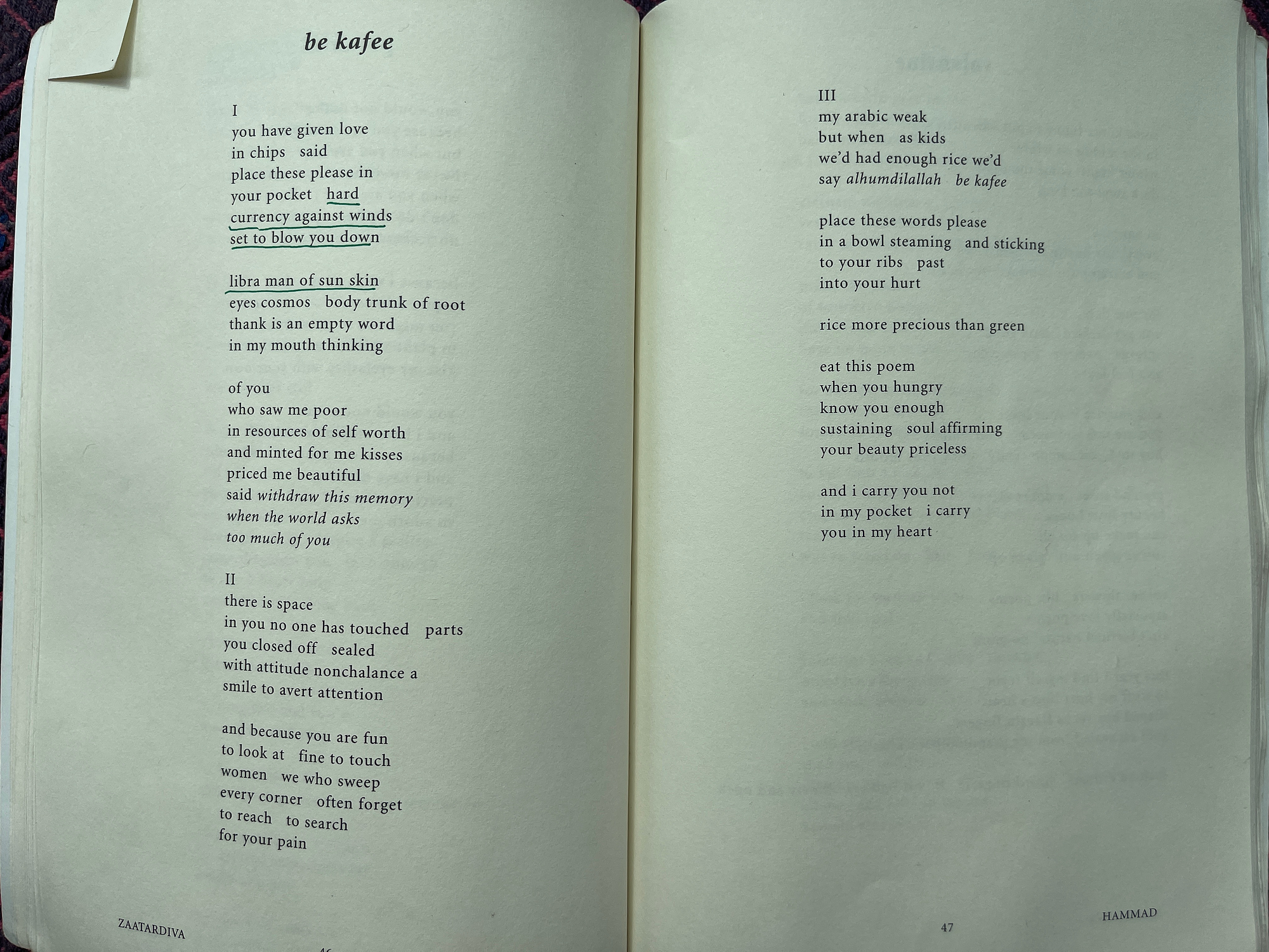 Suheir Hammad Poems
