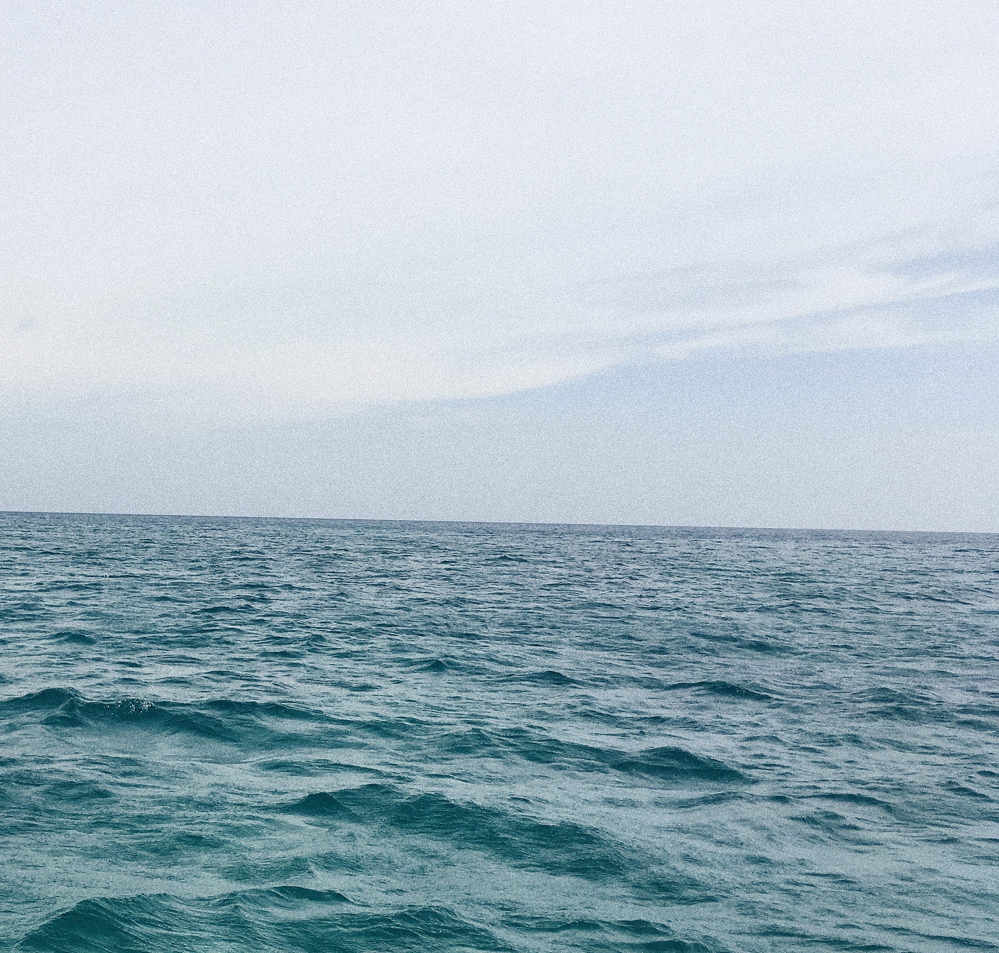 Open Water Ending