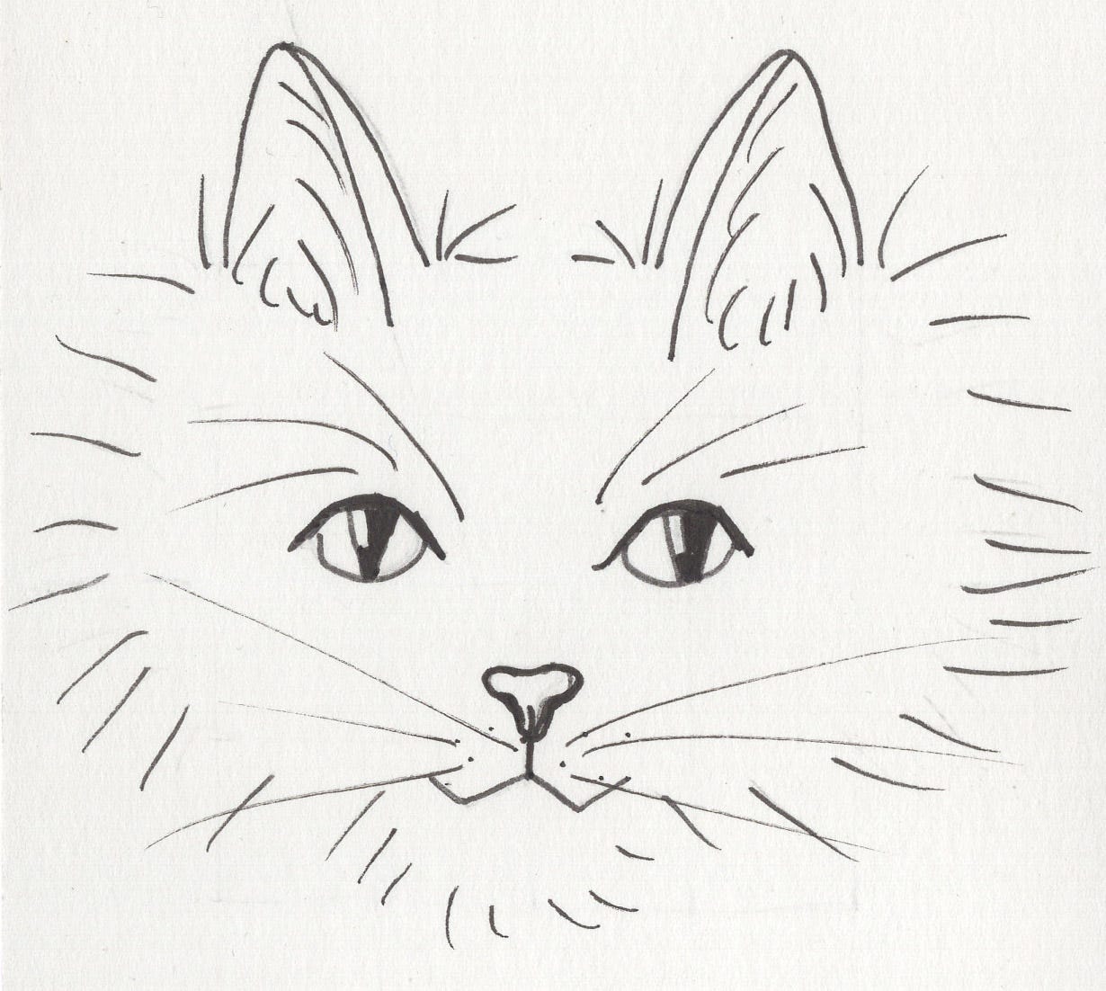 Easy To Draw Cat Face How To Draw A Cat Head | Drawingforall.net