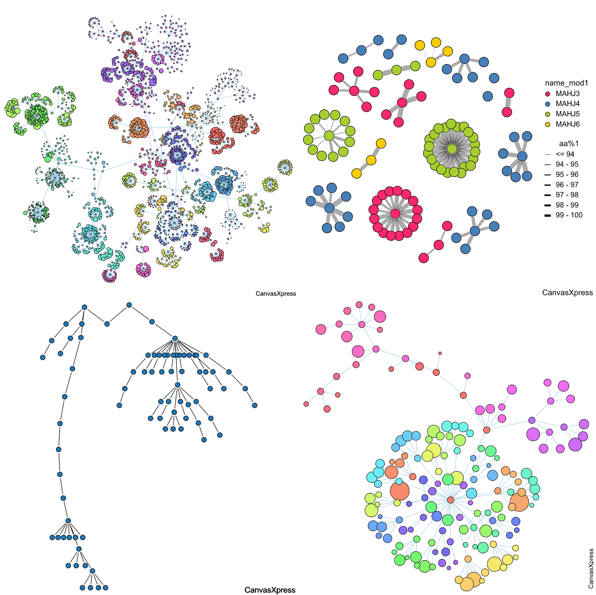 Impressive Network Graphs