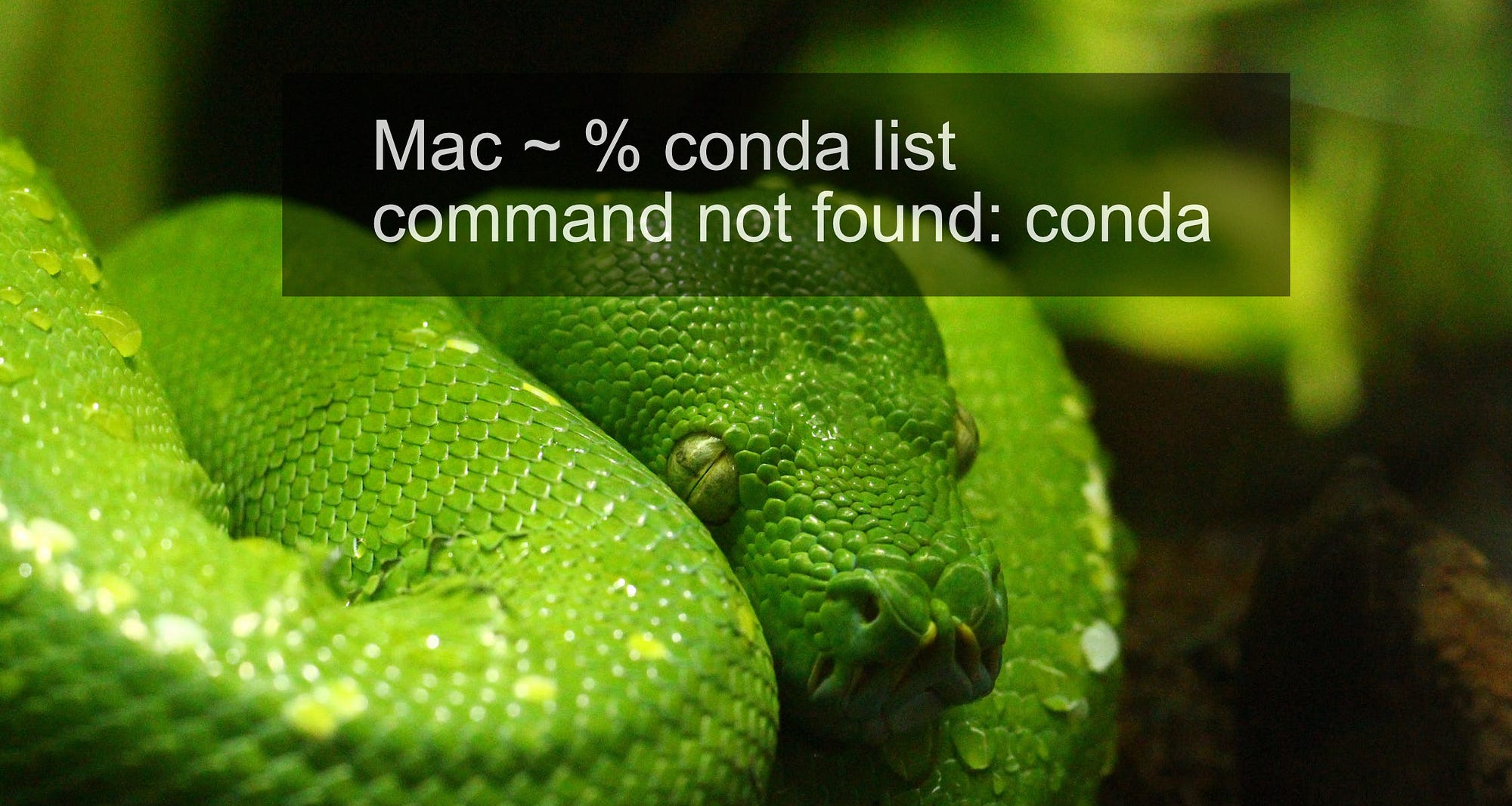 Aktualisierung verhängen Pedicab conda mac Schleim Stress Ausweichen