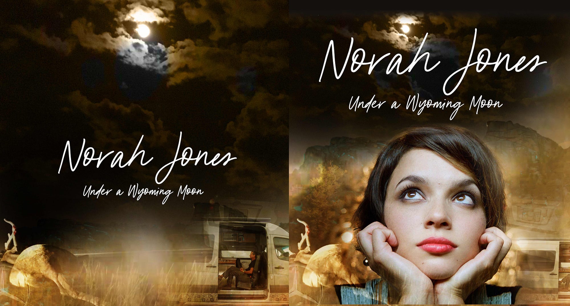 Norah Jones The Fall Album Cover