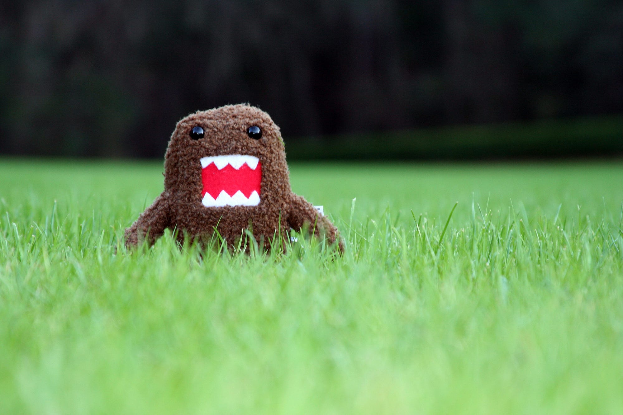 Domo Wallpaper 1920x1080