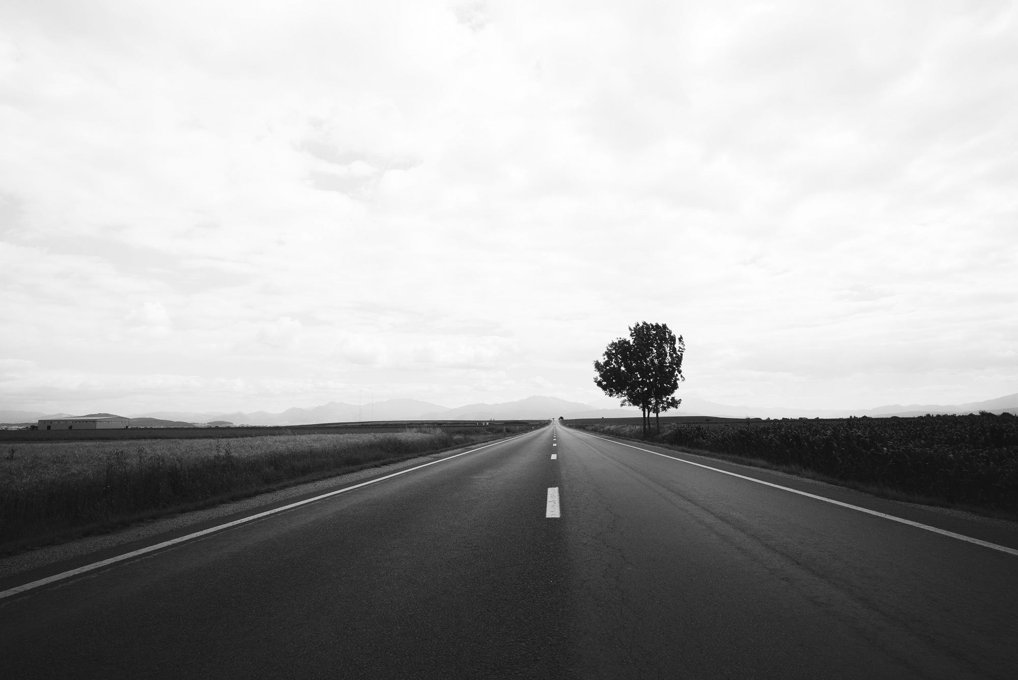 Long Shot Photography