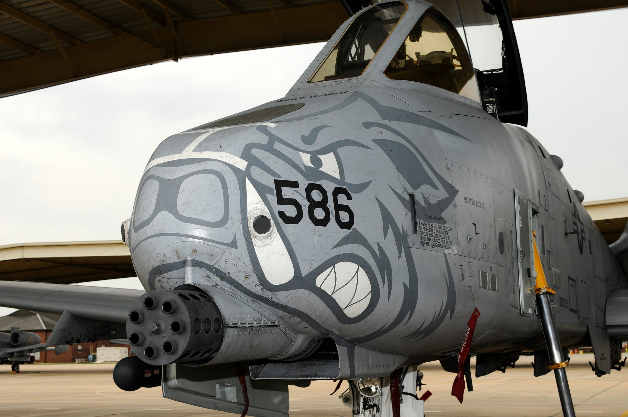 A10 Warthog Nose Art