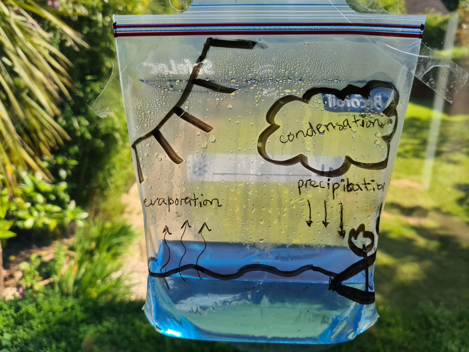 Condensation Pictures