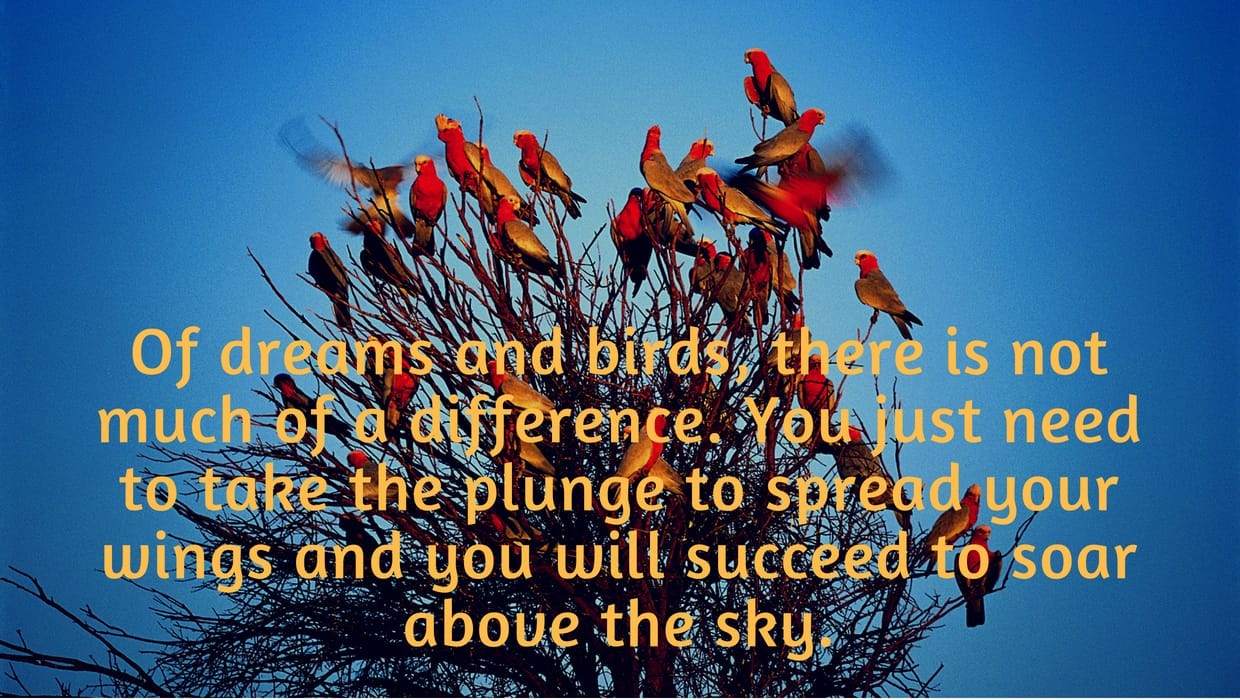 Soar High Quote