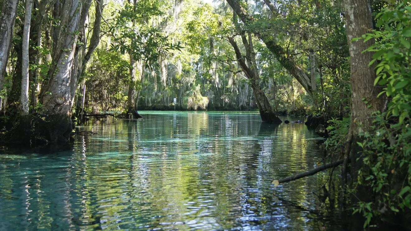 Nature Coast Florida Attractions Florida's Best Natural Areas And