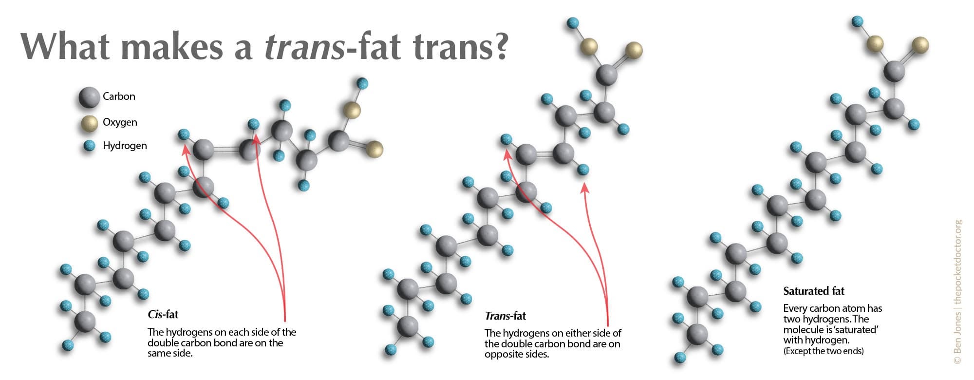 Trans Fat Structure Diagram