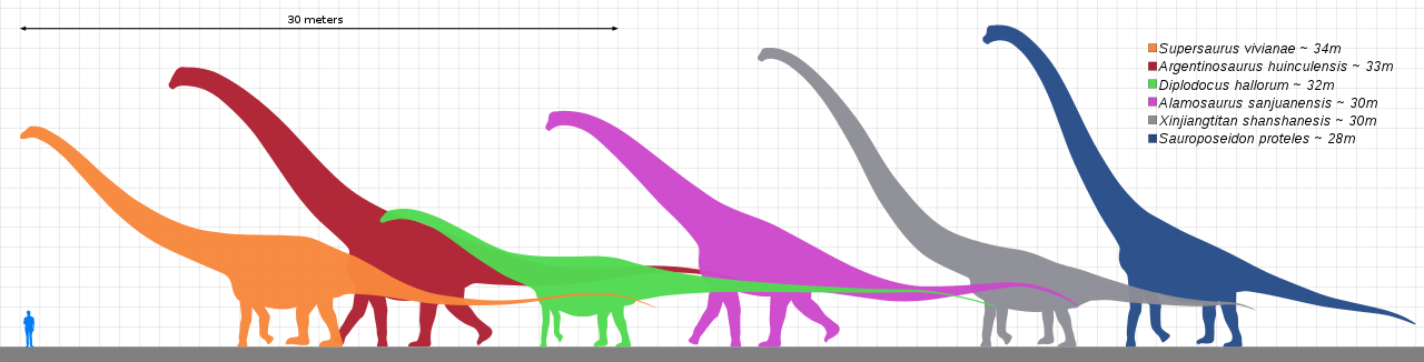 Argentinosaurus Scale