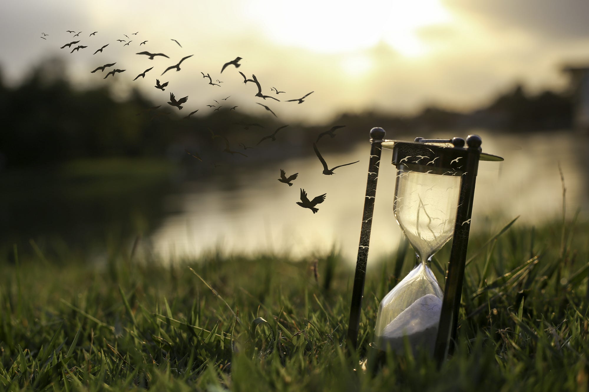 Timeflies Tuesday Wallpaper