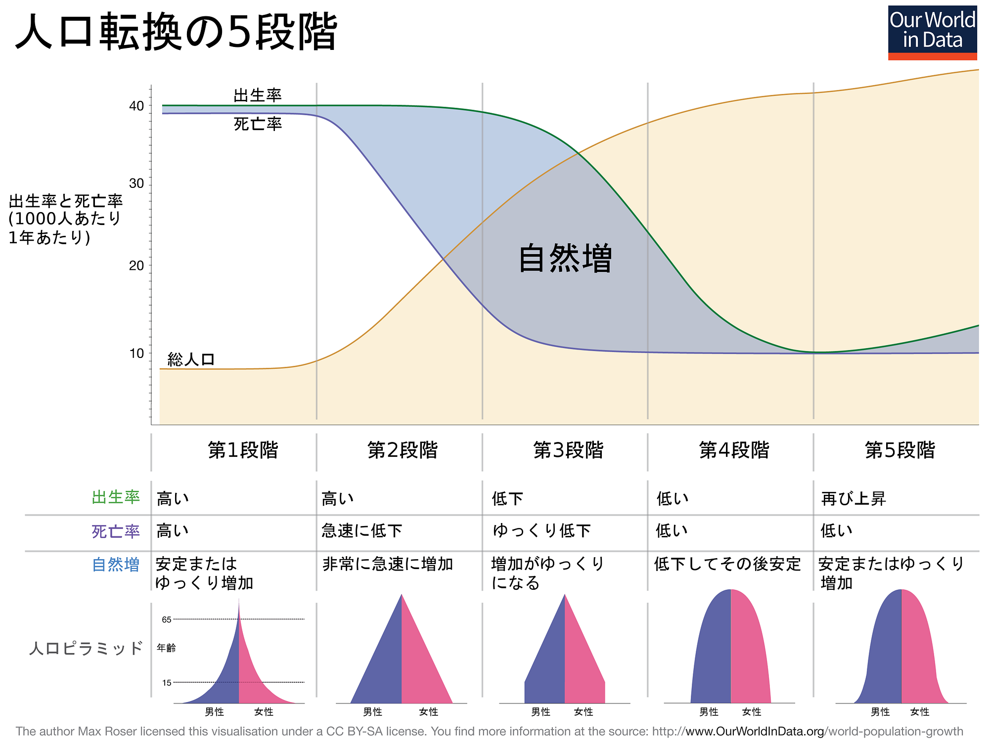 Demographic Transition Model – Introduction To Human, 45% OFF