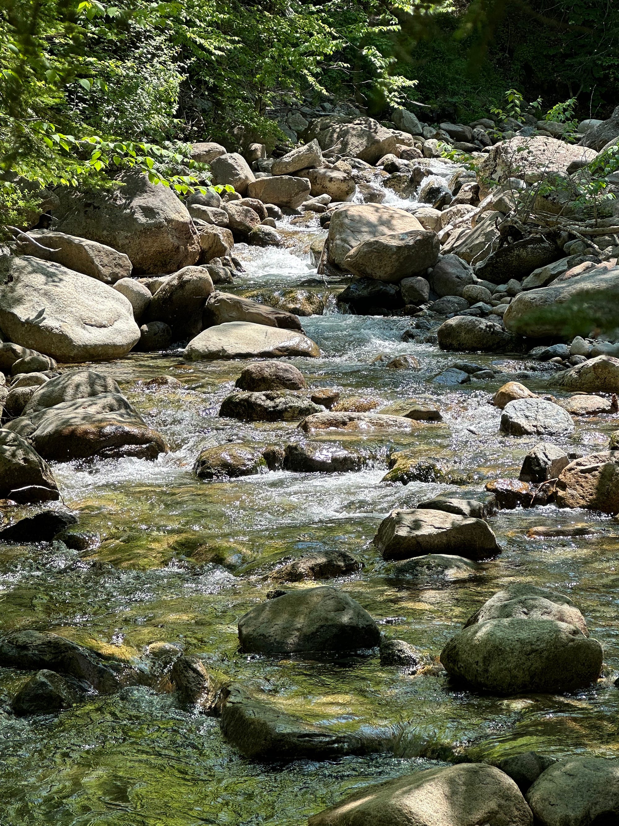 Every Breath Is A Choice