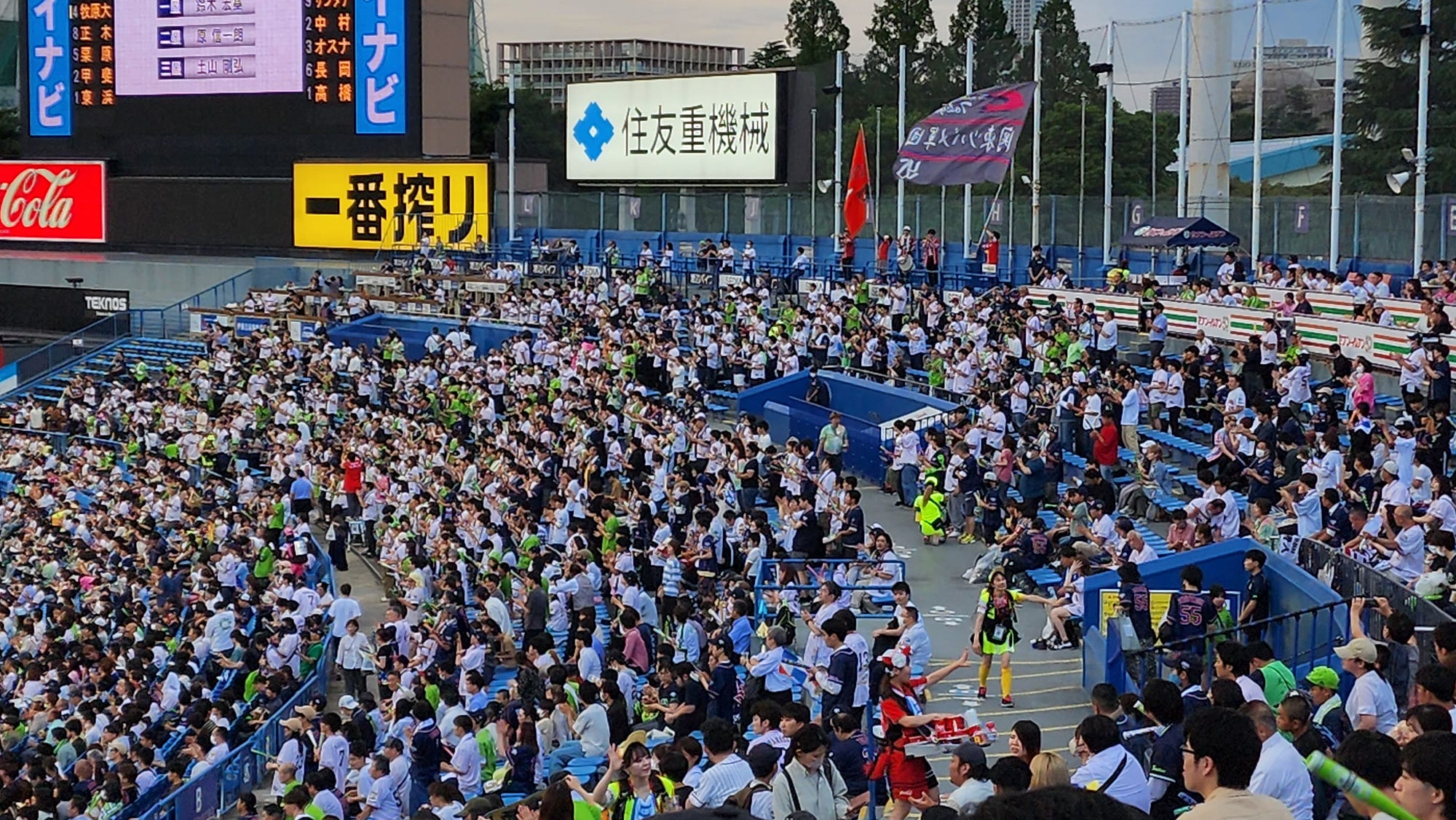 Japanese baseball live store