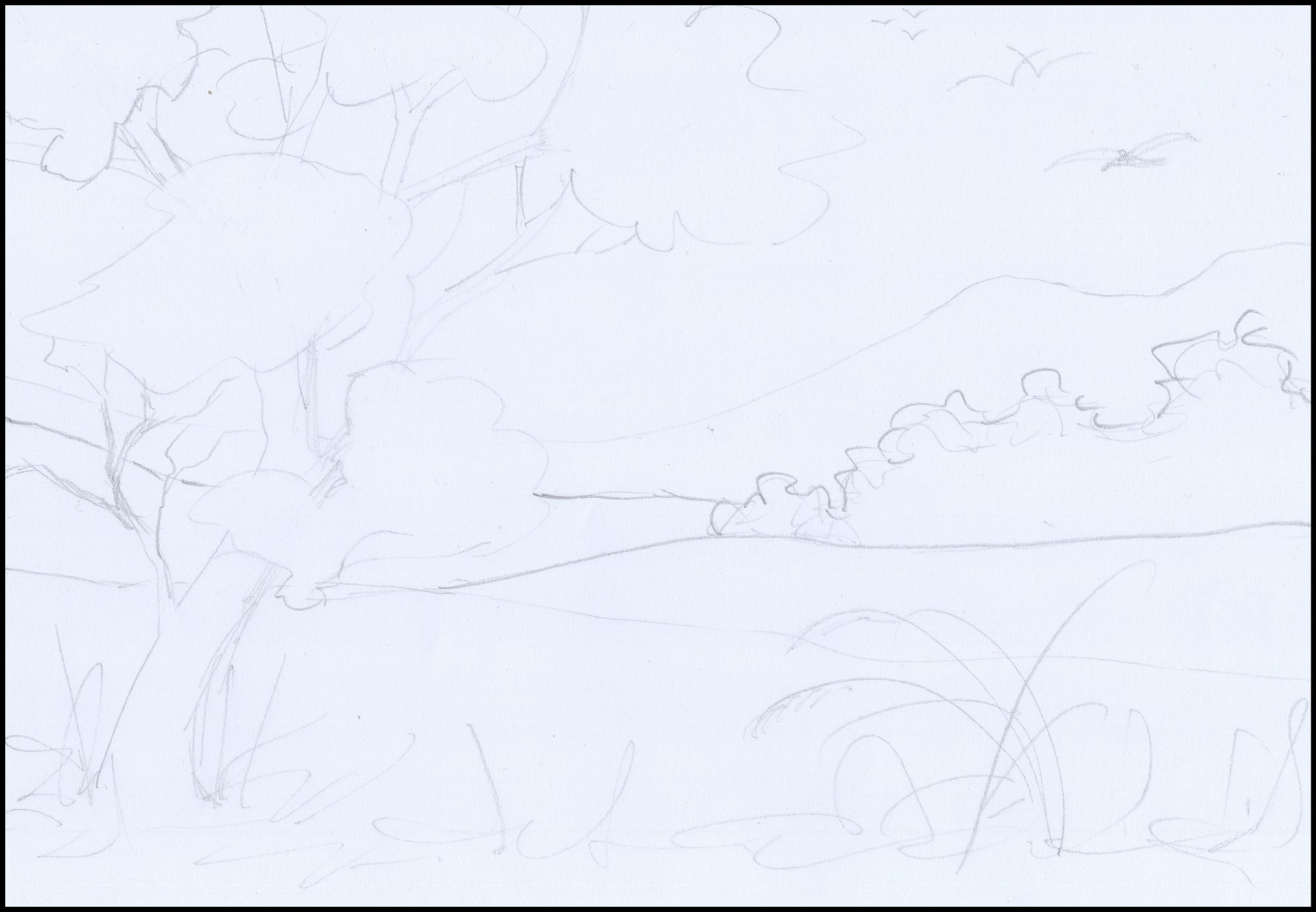 How To Draw A Tree From A Birds Eye View