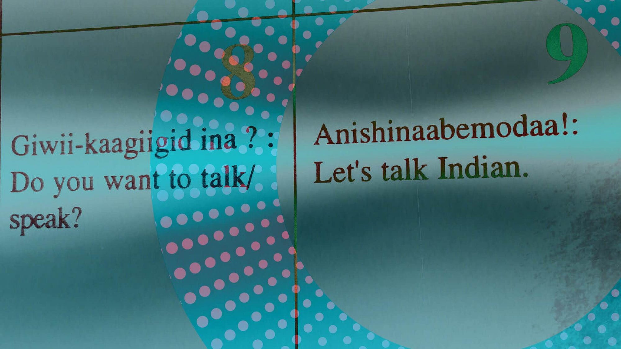 Linguistic Human Rights