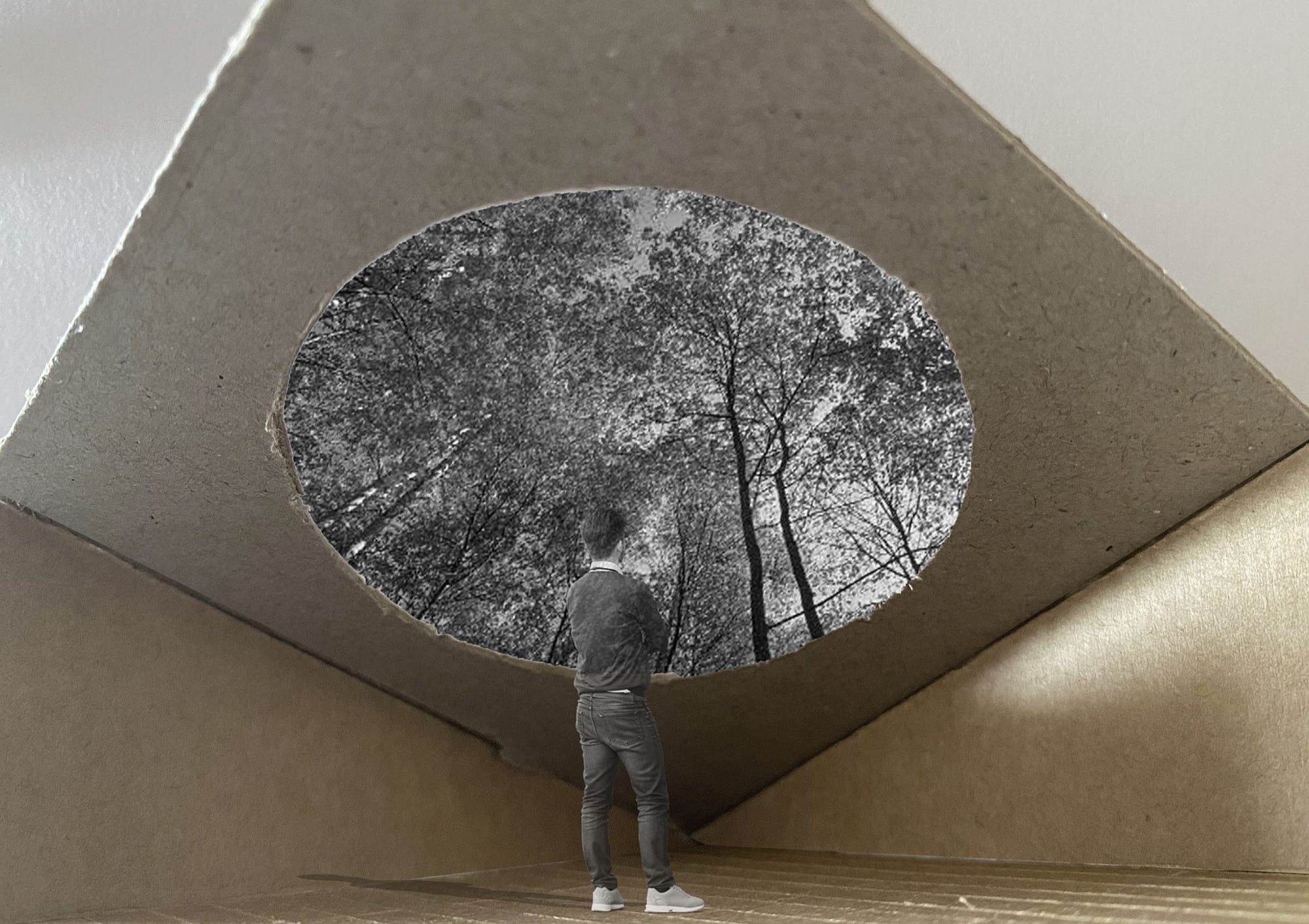 Visual Scale In Architecture