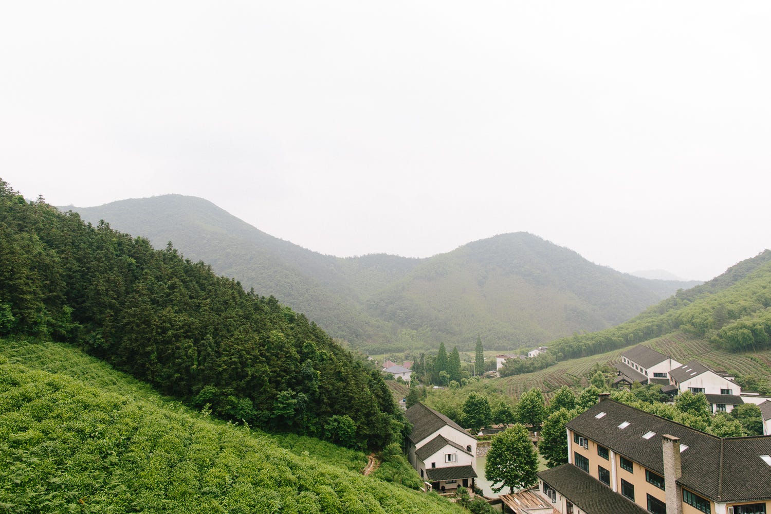Moganshan China