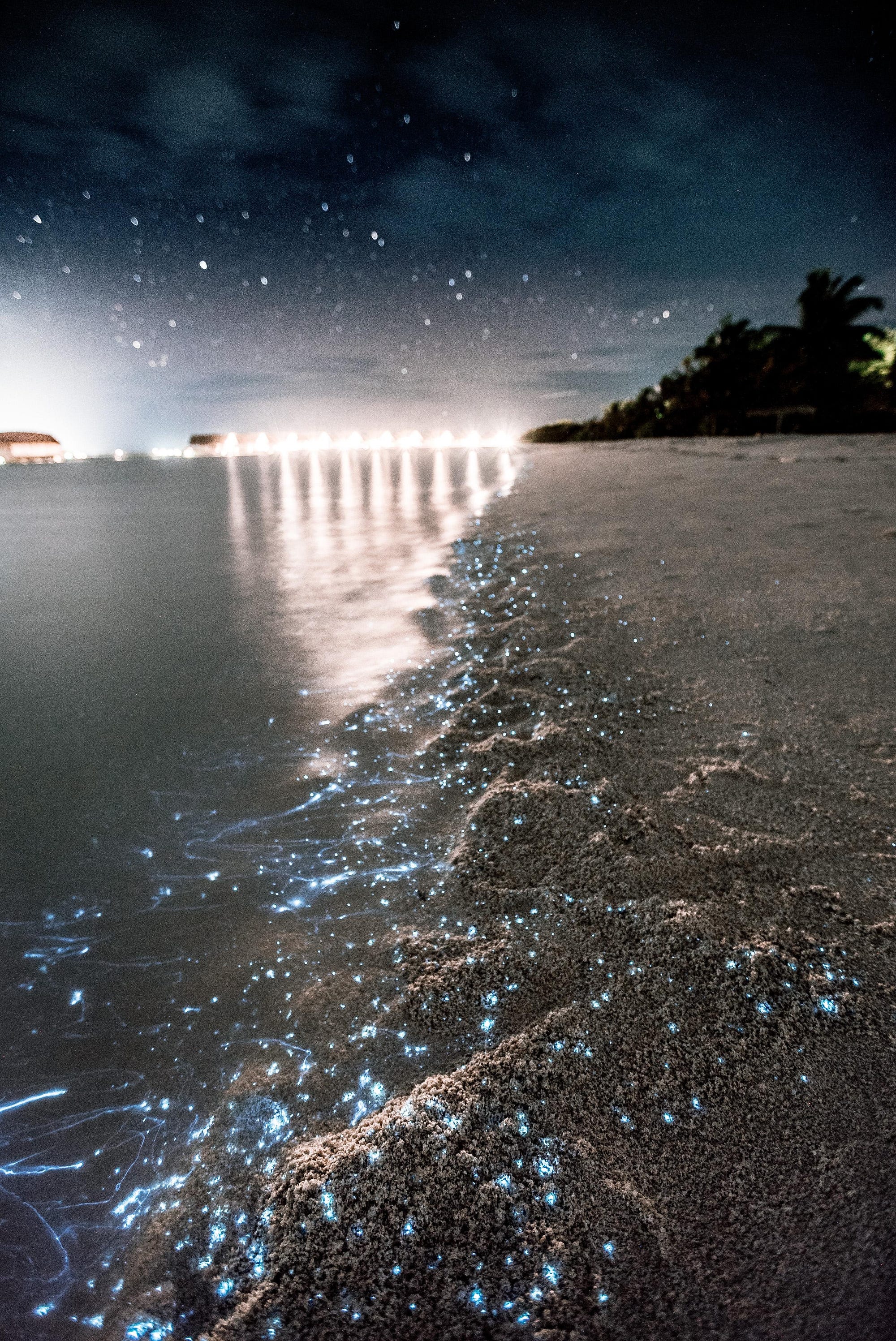 Sea Of Stars At Night