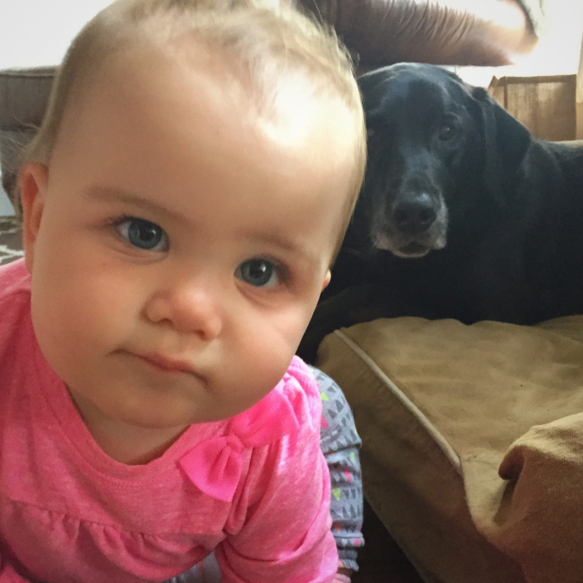 Beau Stewart's Instagram, Twitter & Facebook on IDCrawl