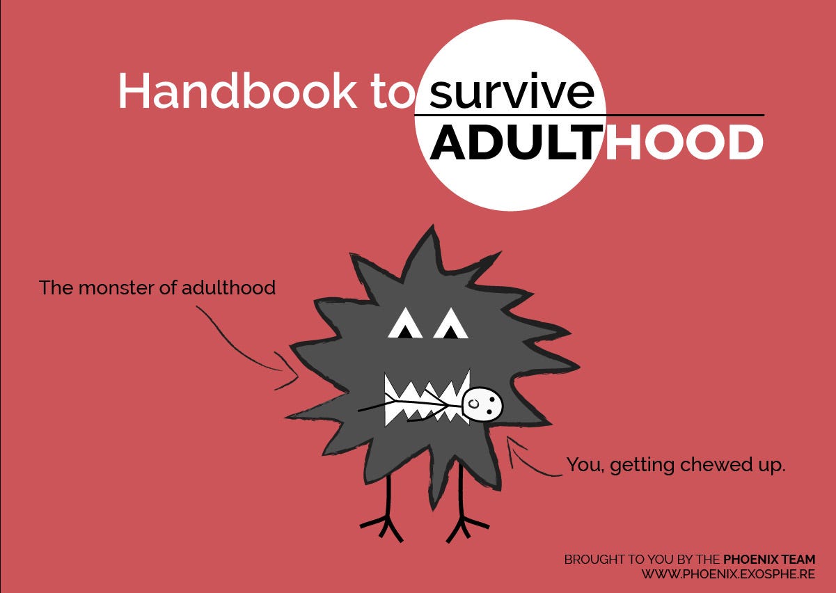 Adulthood Meme
