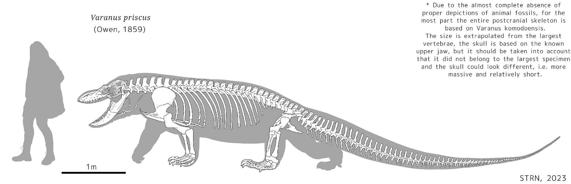Megalania Vs Deinosuchus