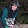 Laura Foreman – Medium