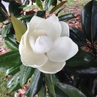 About – Nikki Erwin – Medium