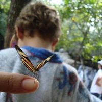 Sandra Wirthmann – Medium