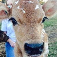 Jennifer Marcum – Medium