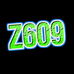 Z609 🌐 – Medium