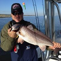 Robert Delaney – Medium