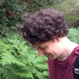 Matthew Haines-Young – Medium