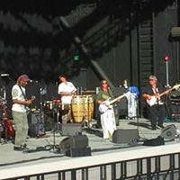 Jill Knight – Medium