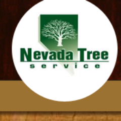 Nevada Tree Service – Medium