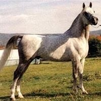 Kay Faith – Medium